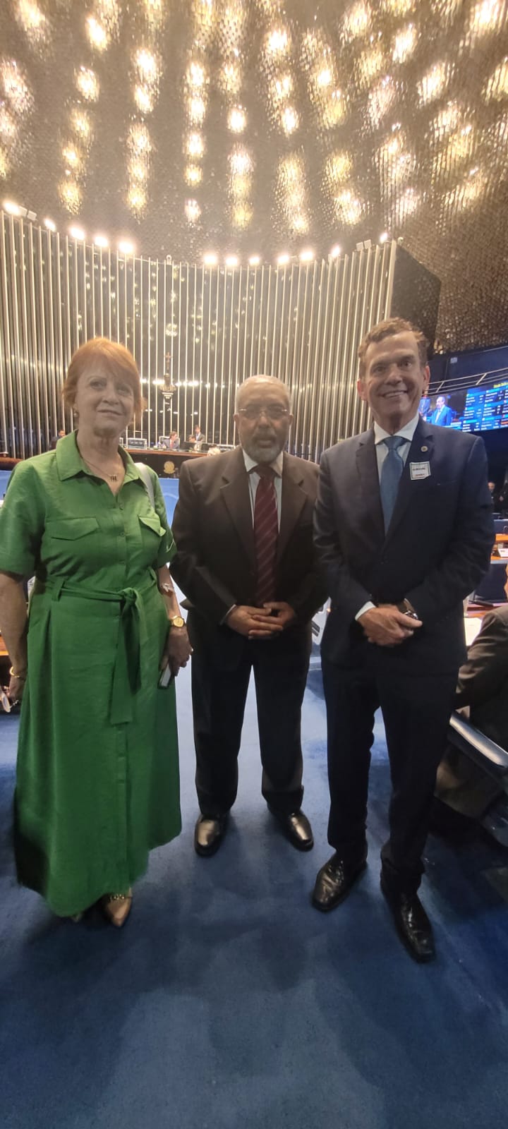 Desembargadores Clóvis Fernando Schuch e Maria Madalena Telesca ...